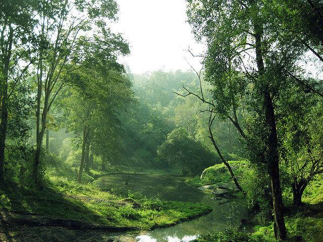 #1 Valparai Tourist Places | Places to visit in Valparai| Tourist spots ...