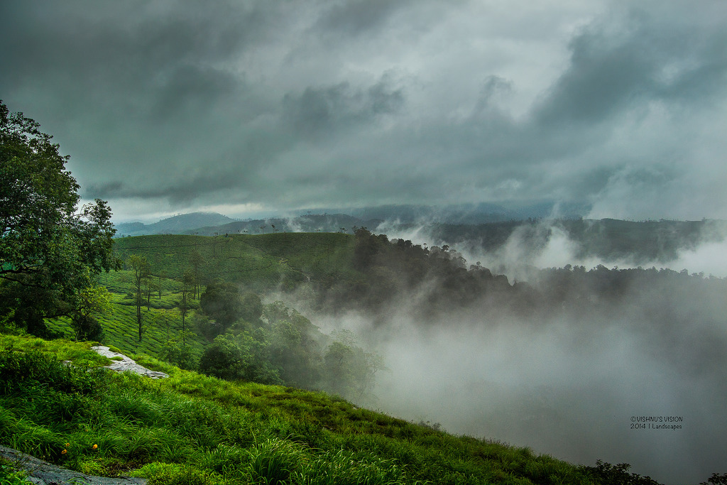 nallamudi poonjolai1 - Valparai Homestays